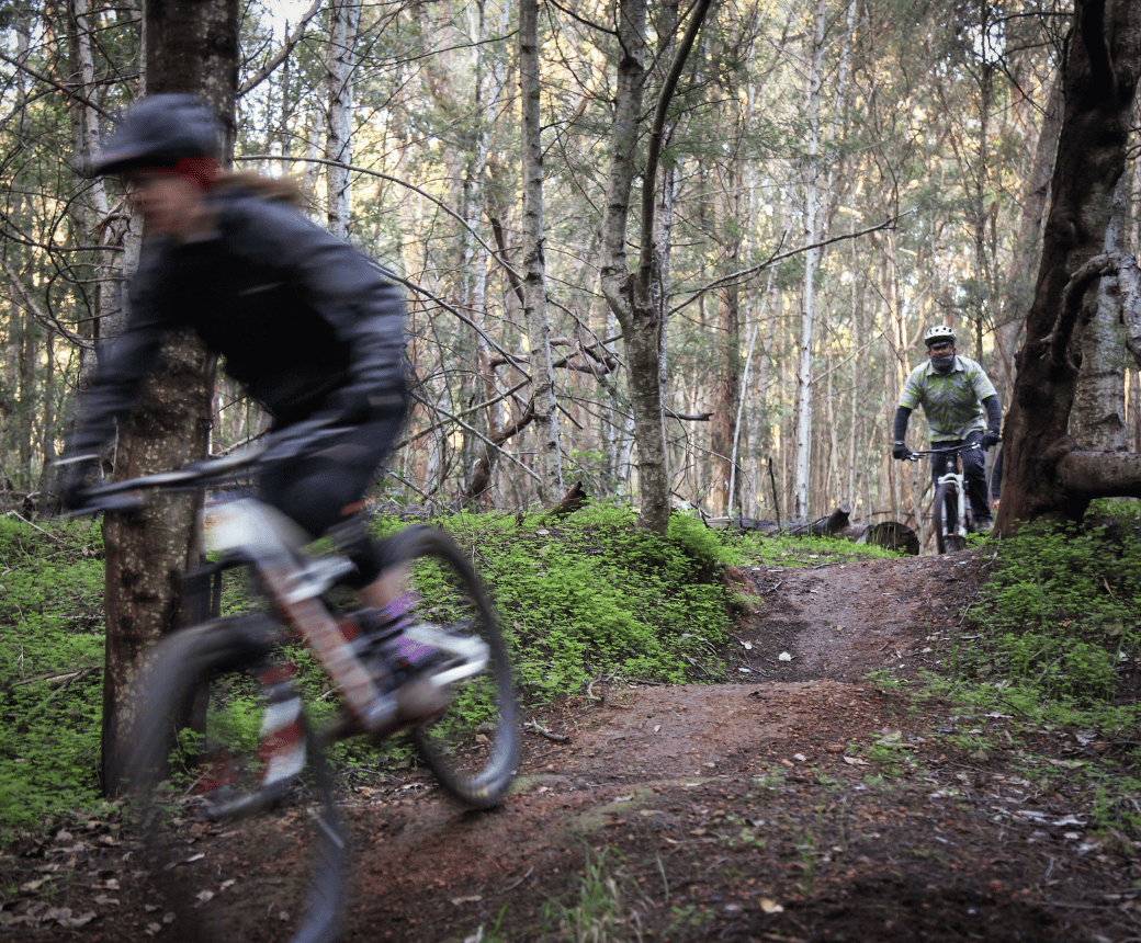 Pemberton MTB Park - Trails WA