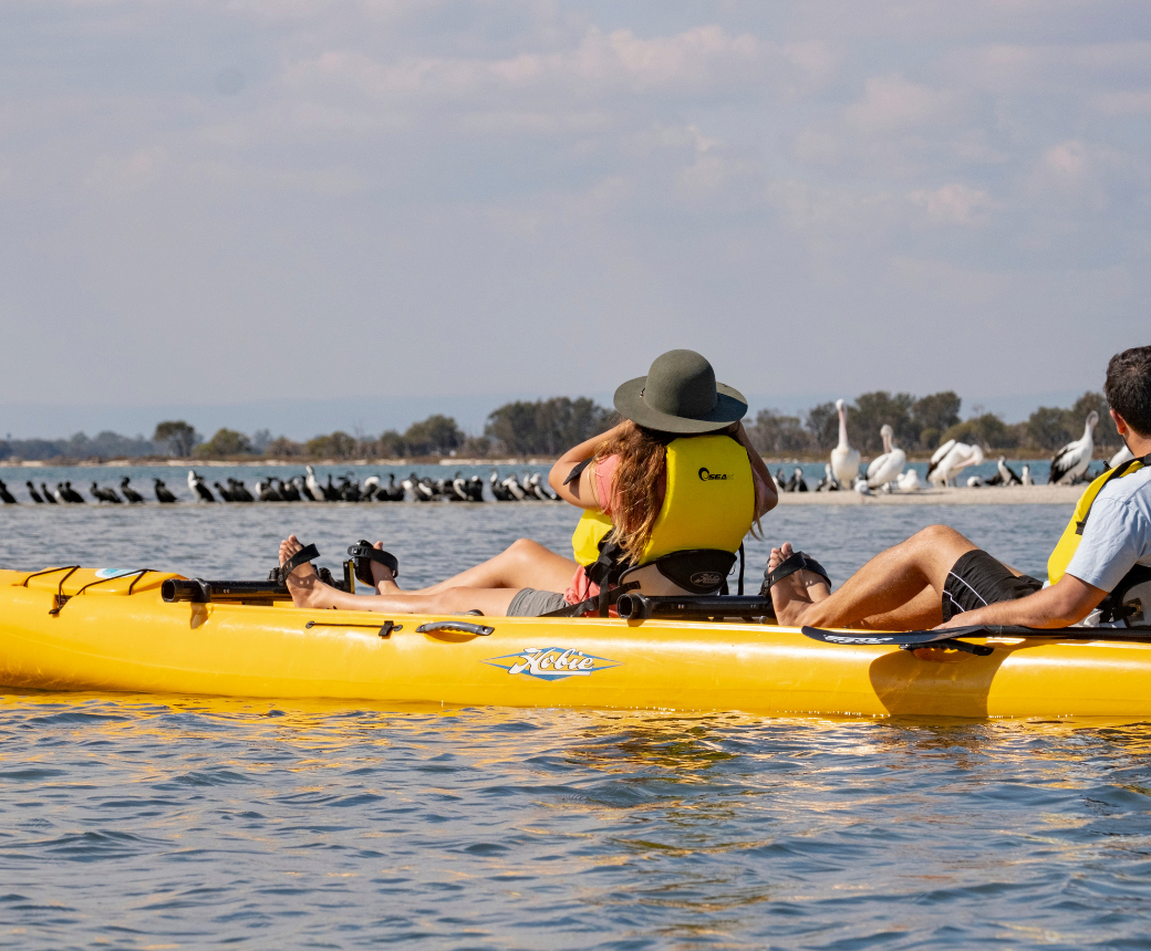 Peel-Harvey Estuary Paddle Trail Network - Trails WA