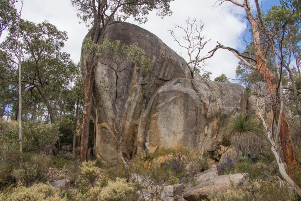 Rocky Pool Walk, Kalamunda - Trails WA - Trails WA