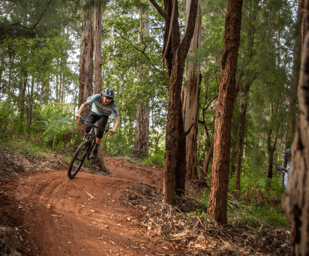 Pemberton MTB Park - Trails WA