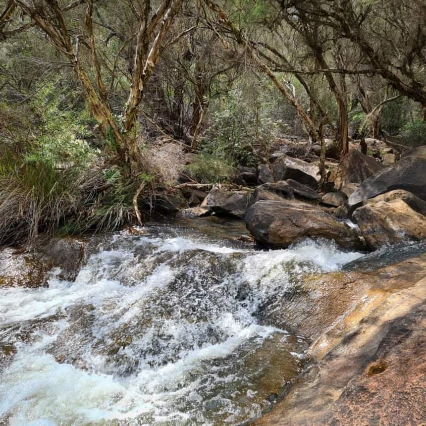 Board Walk Trail, Roley Pools, Roleystone - Trails WA