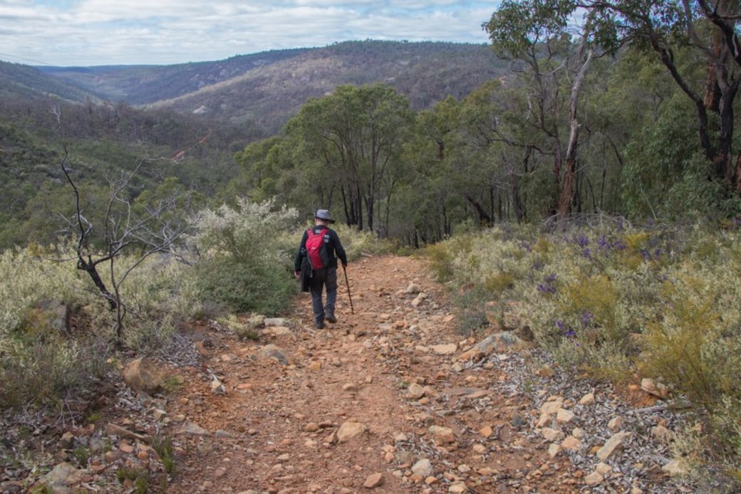 Rocky Pool Walk, Kalamunda - Trails WA - Trails WA