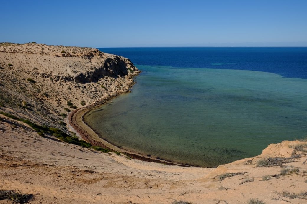 Eagle Bluff Boardwalk, Shark Bay - Trails WA - Trails WA