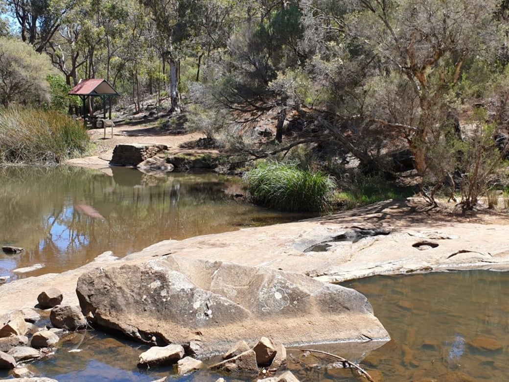 Board Walk Trail, Roley Pools, Roleystone - Trails WA