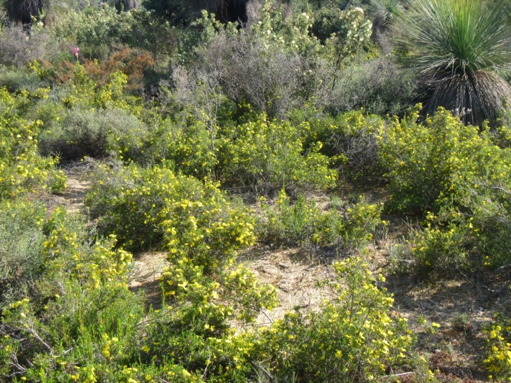 Yanchep National Park - Trails WA