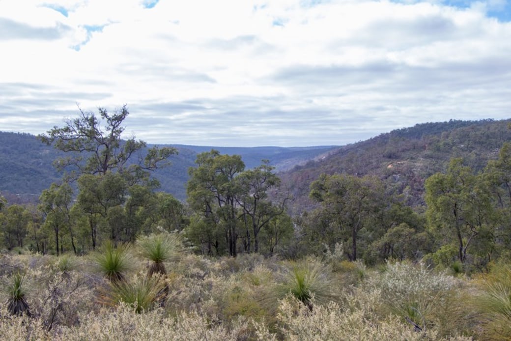 Rocky Pool Walk, Kalamunda - Trails WA - Trails WA