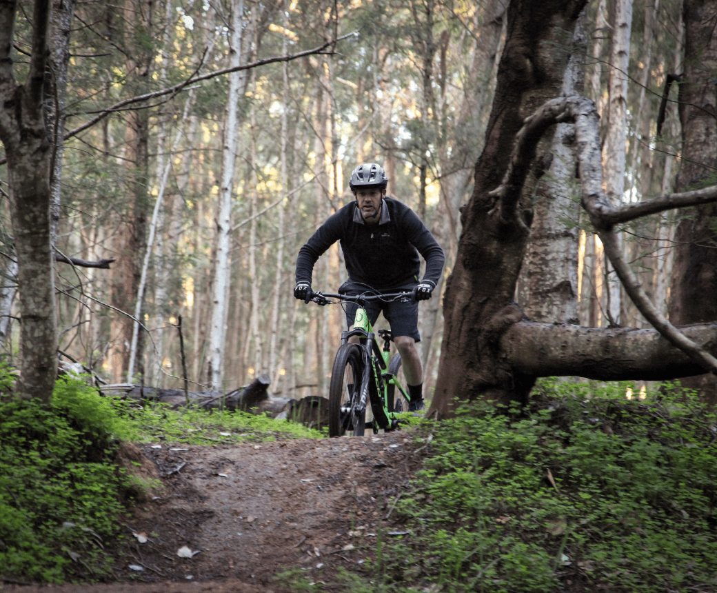 Pemberton MTB Park - Trails WA