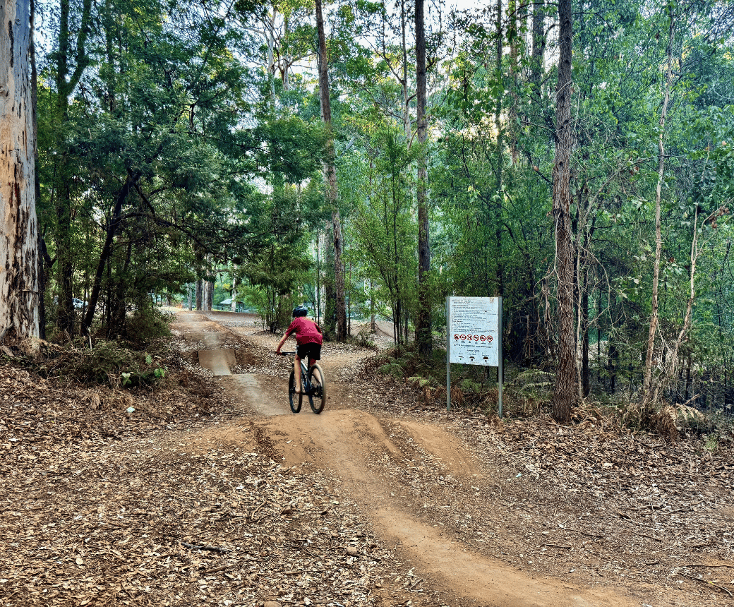 Pemberton MTB Park - Trails WA