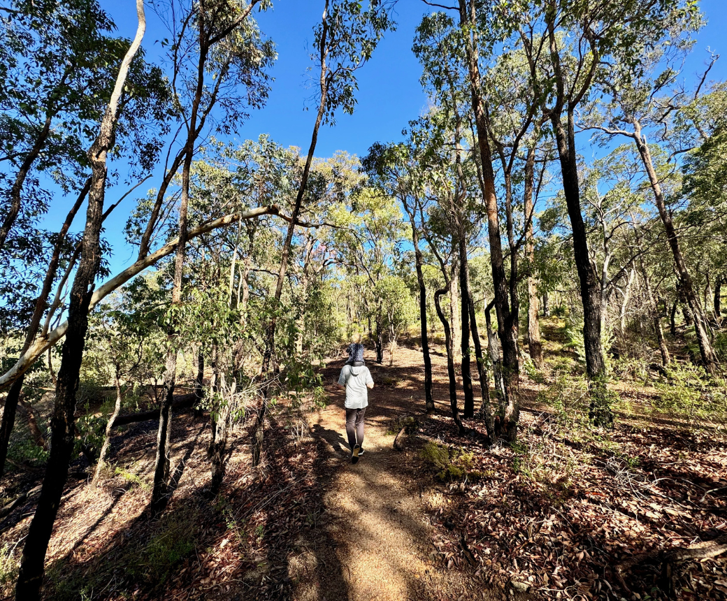 John Forrest National Park - Trails WA
