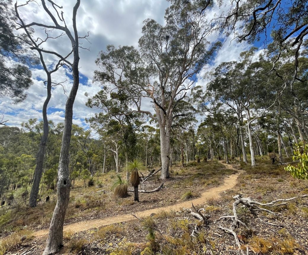John Forrest National Park - Trails WA