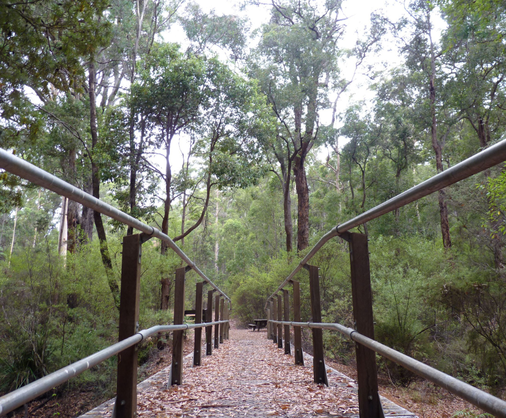 King Karri Walk Trail, Donnelly River Village - Trails WA