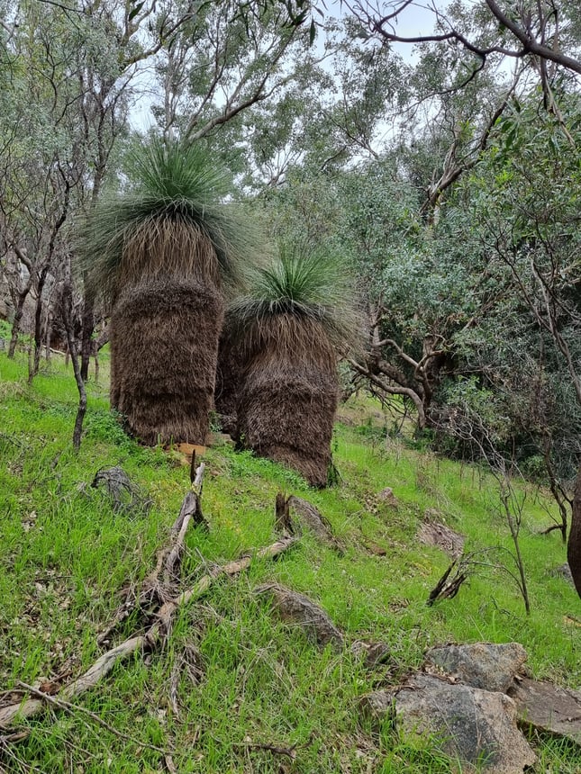 Board Walk Trail, Roley Pools, Roleystone - Trails WA