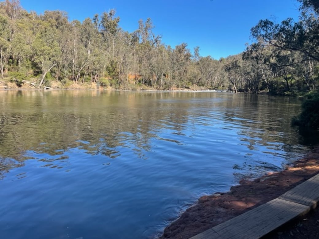 Chuditch Walk Trail - Trails WA