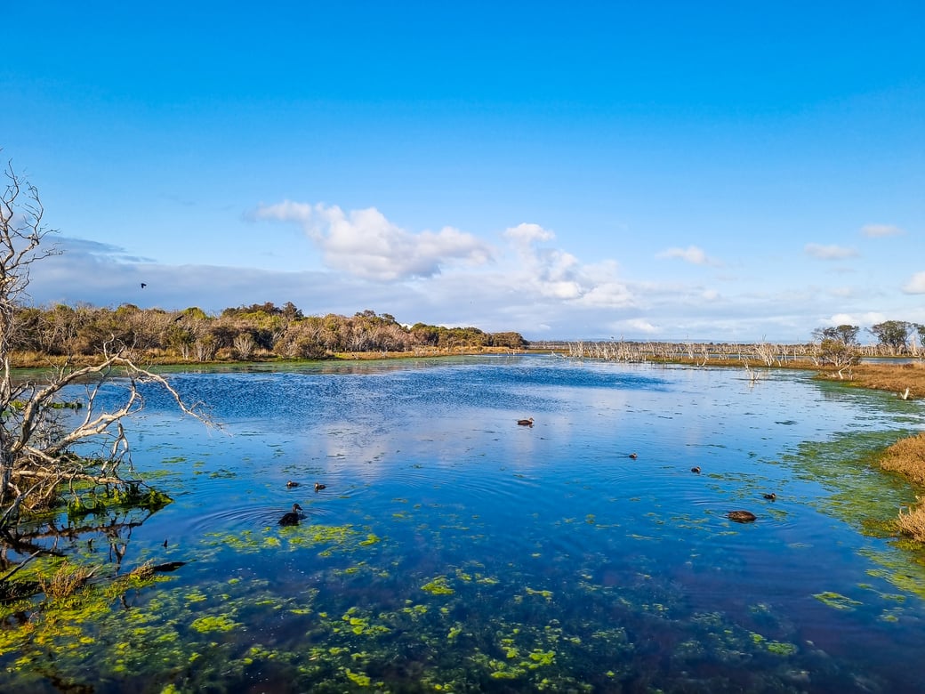 Nature Trail, Len Howard Conservation Park, Perth Coast & Plain - Trails WA
