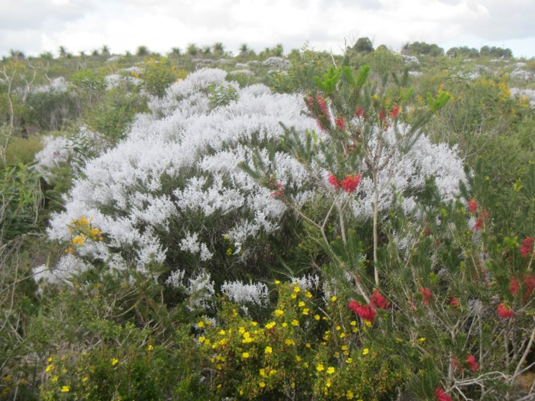 Yanchep National Park - Trails WA
