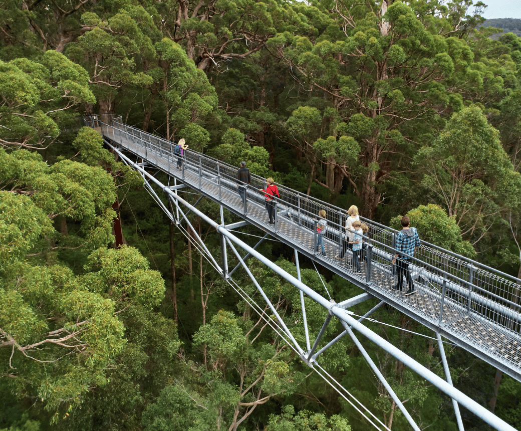 Valley of the Giants Tree Top Walk, Walpole-Nornalup NP - Trails WA