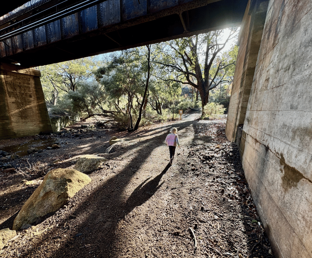 John Forrest National Park - Trails WA