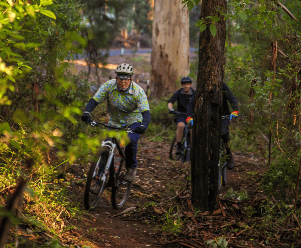 Pemberton MTB Park - Trails WA