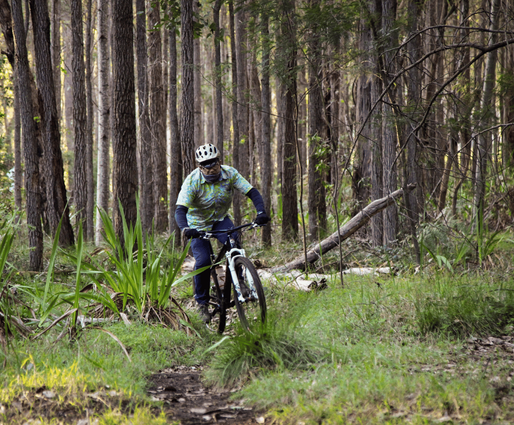 Pemberton MTB Park - Trails WA