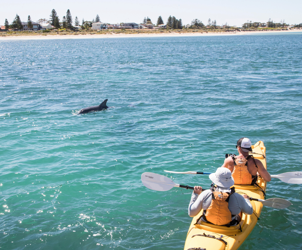 Peel-Harvey Estuary Paddle Trail Network - Trails WA