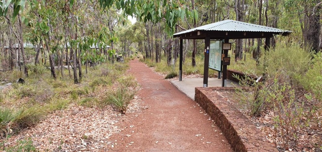 Forest Path, Crooked Brook Forest, Dardanup - Trails WA - Trails WA