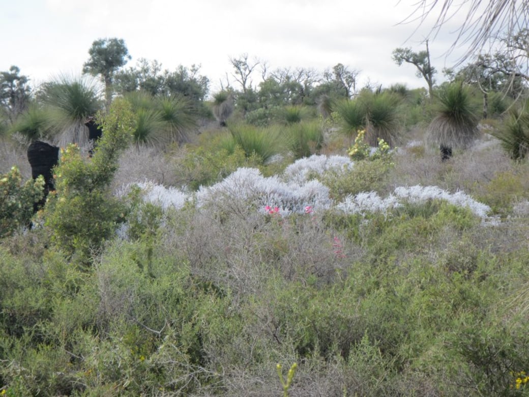 Yanchep National Park - Trails WA