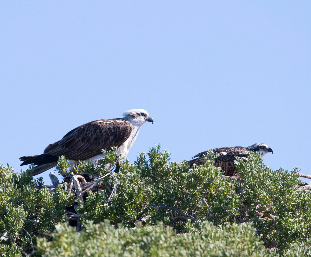 Peel-Harvey Estuary Paddle Trail Network - Trails WA