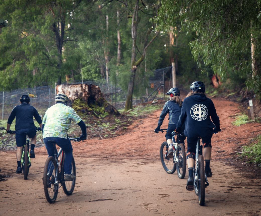 Pemberton MTB Park - Trails WA