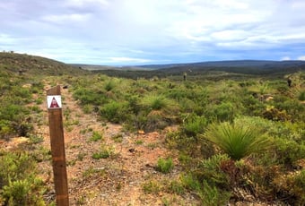 Long Distance - Trails WA
