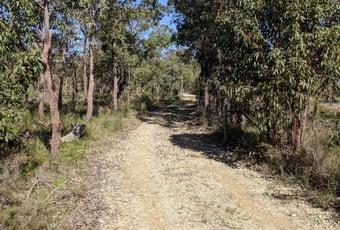Sixty Foot Falls, Ellis Brook Valley, Gosnells - Trails WA - Trails WA